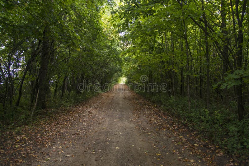 Path to light stock image. Image of misty, path, blue - 111620921