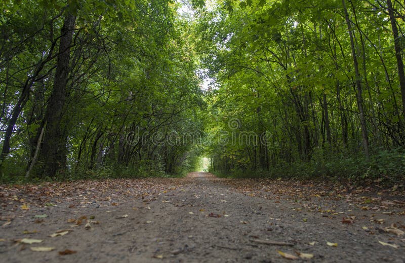 Path to light stock image. Image of beautiful, light - 106679249