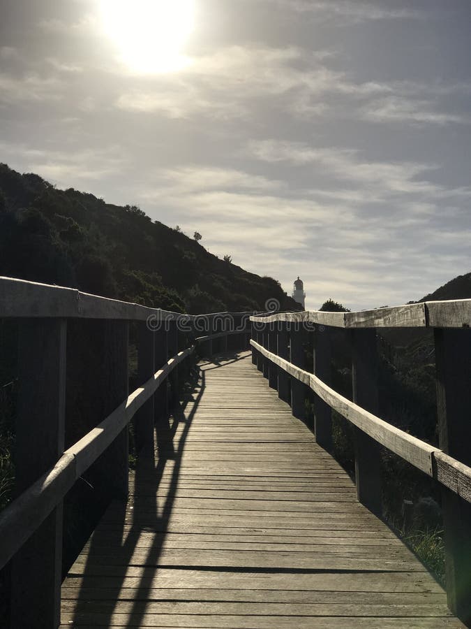 Path to the lighthouse stock image. Image of tree, reservoir - 96252459