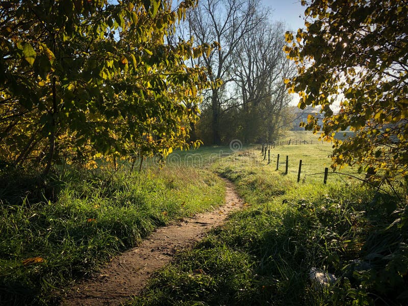 Path to the meadow stock image. Image of brown, fence - 165681901