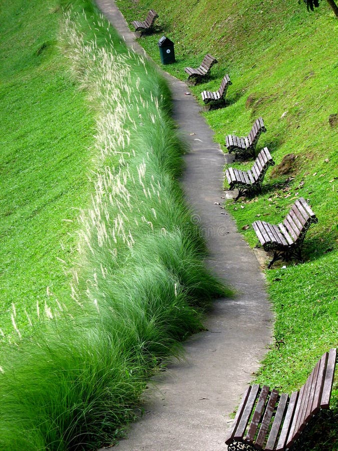 Path to the Mountain stock image. Image of mountain, path - 13244965