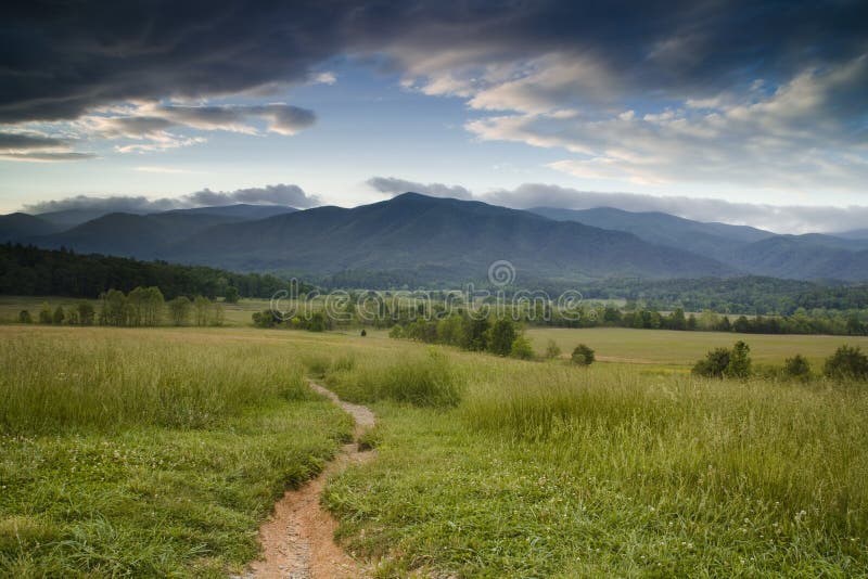 Path to the Mountains stock image. Image of tree, serene - 27650695