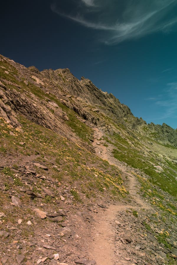 The Path To the Mountains in Summer Stock Image - Image of picturesque ...