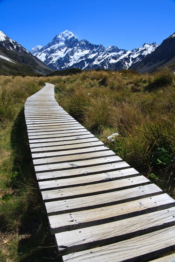 Path to Mt Cook stock photo. Image of mount, zealand - 16574944