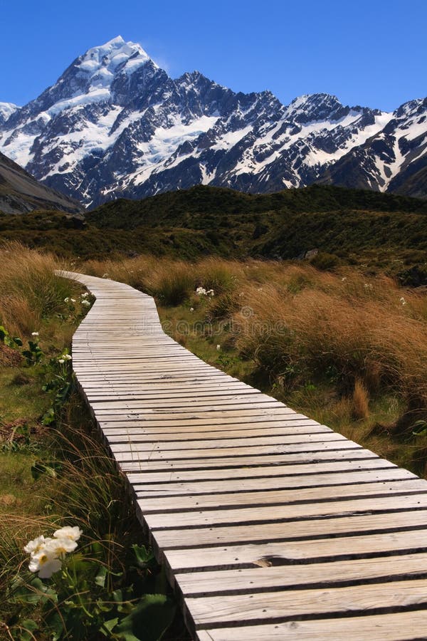 Path to Mt Cook stock image. Image of park, wooden, south - 16574965