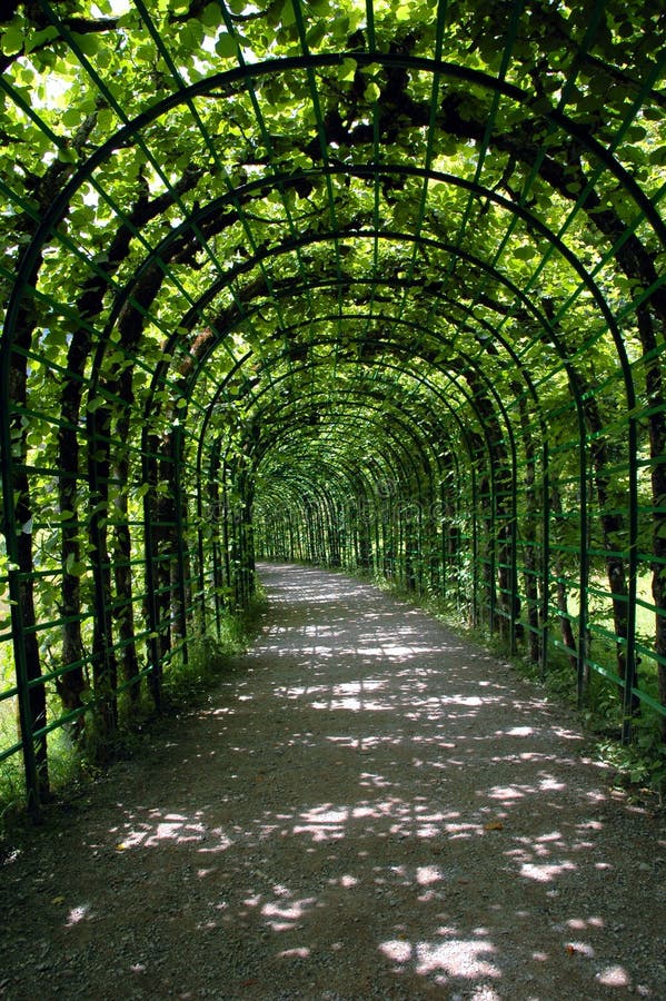 4,062 Leaf Arch Path Stock Photos - Free & Royalty-Free Stock Photos ...