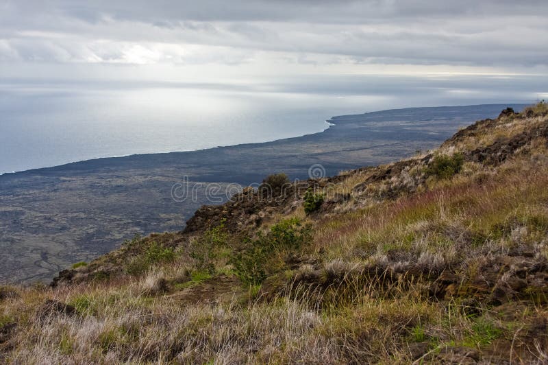Path to the ocean stock image. Image of wilderness, brush - 19268425