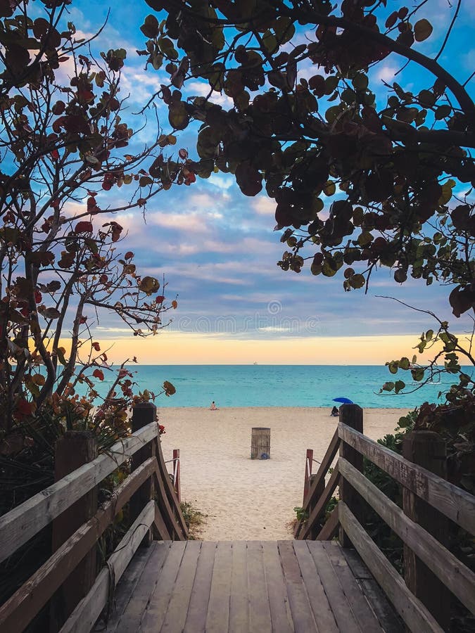 Path To the Ocean Sunset in Miami Stock Image - Image of beauty ...