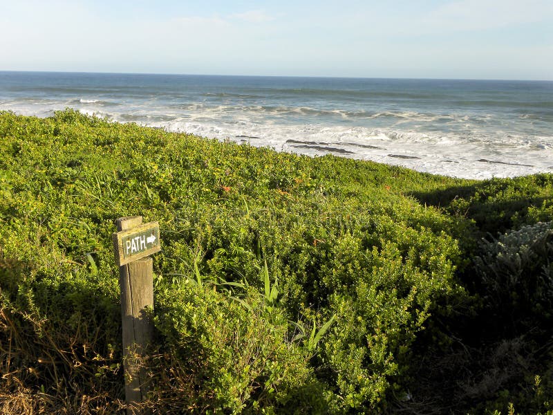 Path to the ocean stock photo. Image of cape, fynbos - 71123724