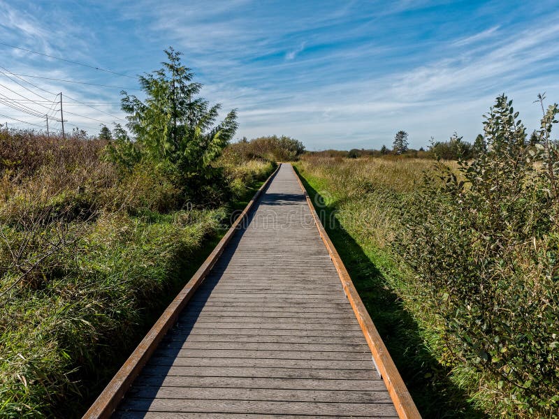 Path To the Ocean stock image. Image of ocean, wooden - 91525129