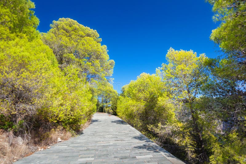 Path To the Old Castle of Assos Village Stock Image - Image of park ...