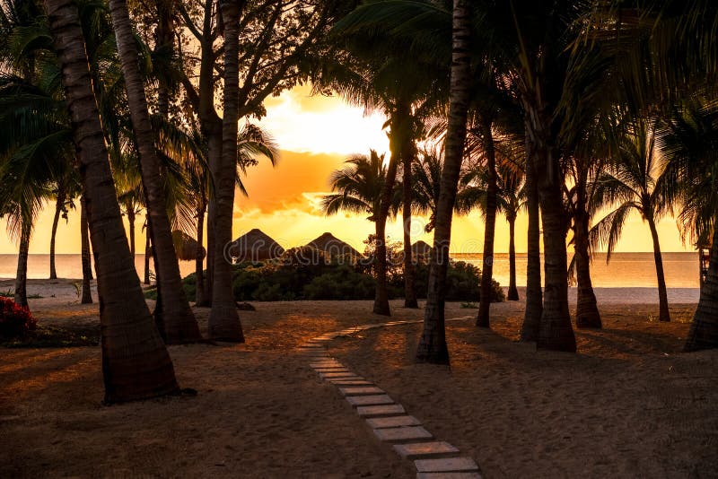 Path to Paradise stock image. Image of mexico, mayan - 74310887