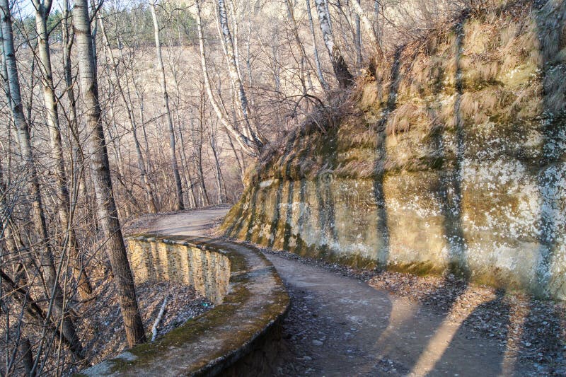 The path to the parapet. stock image. Image of forest - 73490443