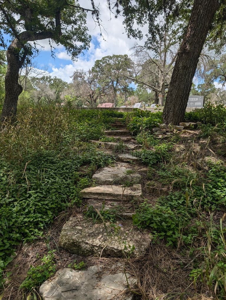 30,774 Rock Steps Stock Photos - Free & Royalty-Free Stock Photos from ...