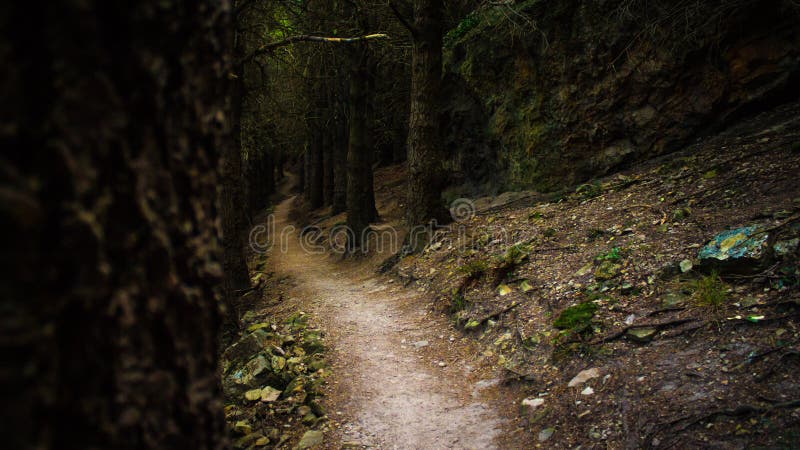 Path to primetime stock image. Image of walking, waterfall - 129866945