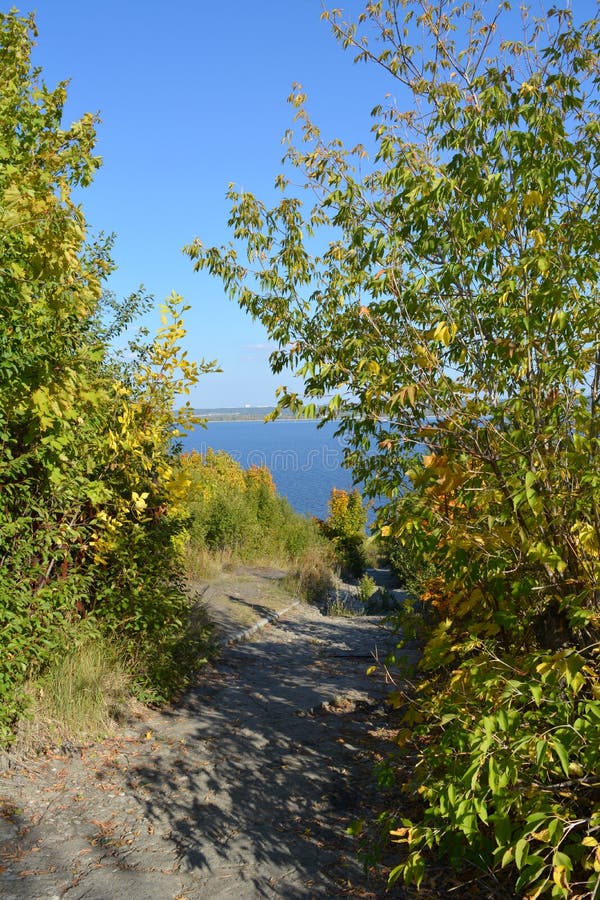 Path To the River through the Old Park with Trees Stock Photo - Image ...