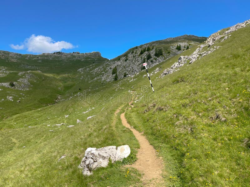 The path to Saua Strunga stock photo. Image of flowers - 225489034