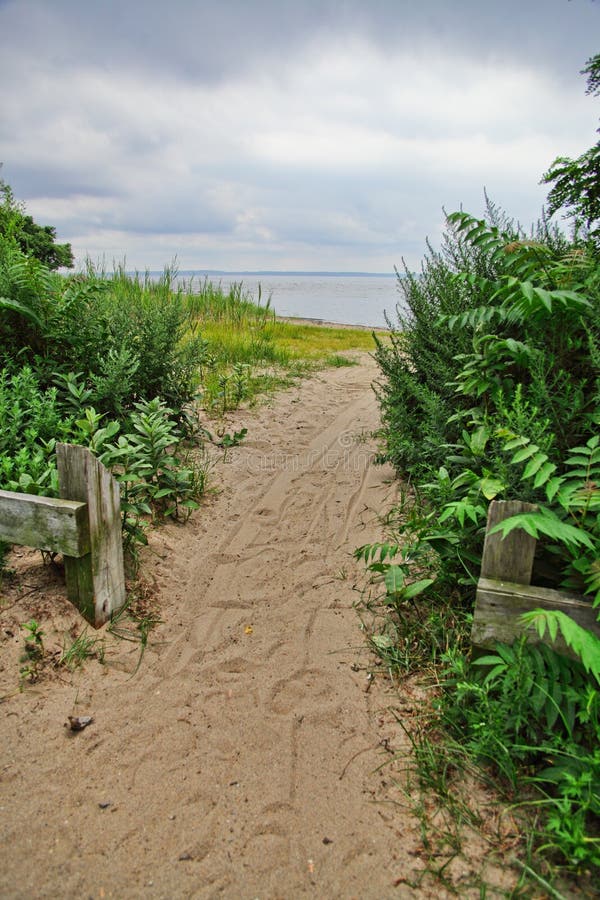 Path to the Sea stock image. Image of dune, shoreline - 11044423