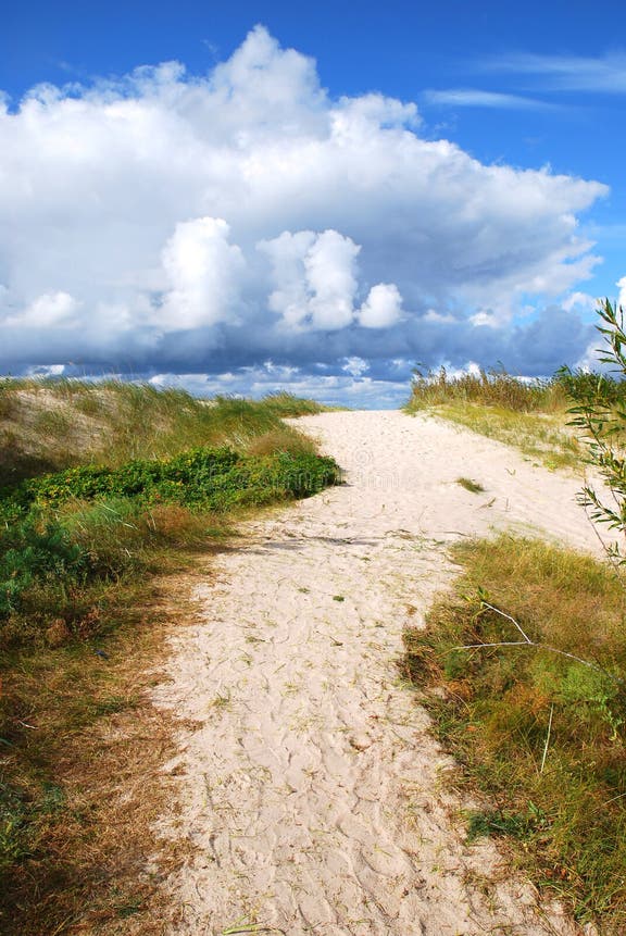 Path to the sea stock photo. Image of sand, plants, heaven - 12779886