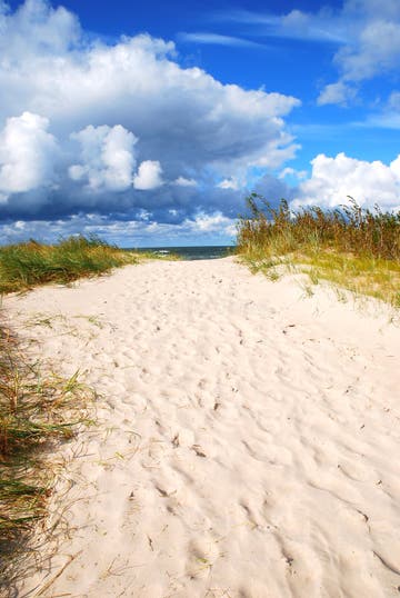 Path to the sea stock image. Image of baltic, grass, beach - 12923193