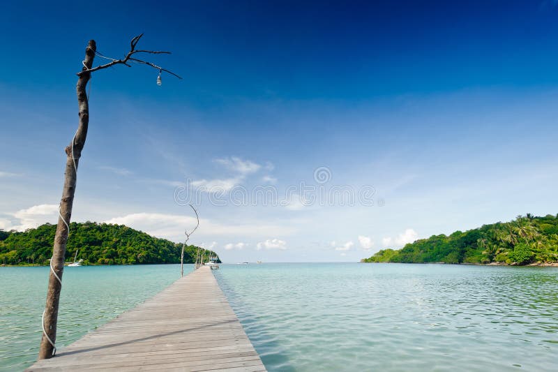 Path to the sea stock photo. Image of pathway, coastal - 18923786