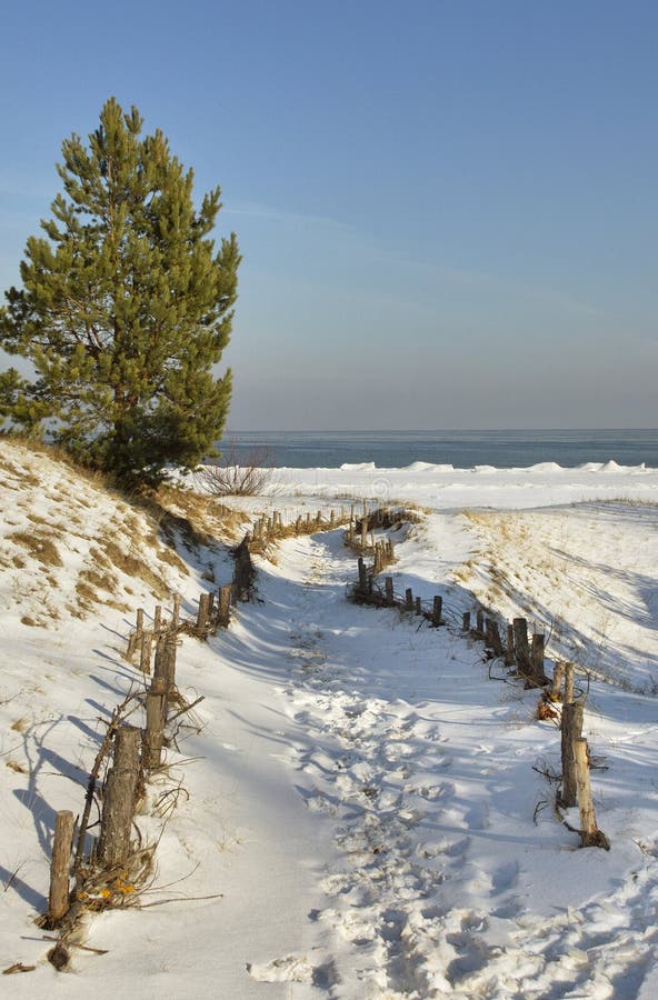 Path to the sea. stock photo. Image of bright, baltic - 38151710