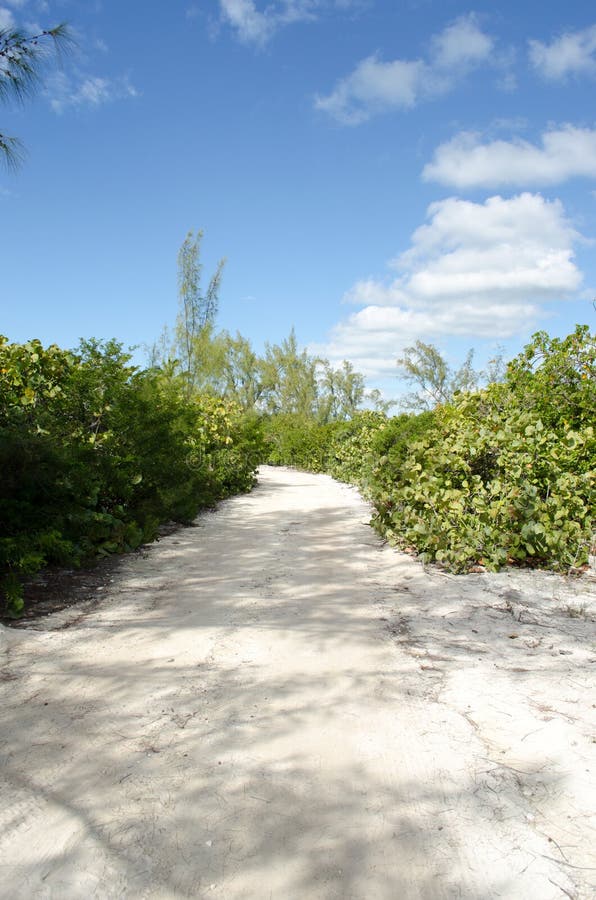 Path to the sea stock image. Image of nature, park, natural - 180705115