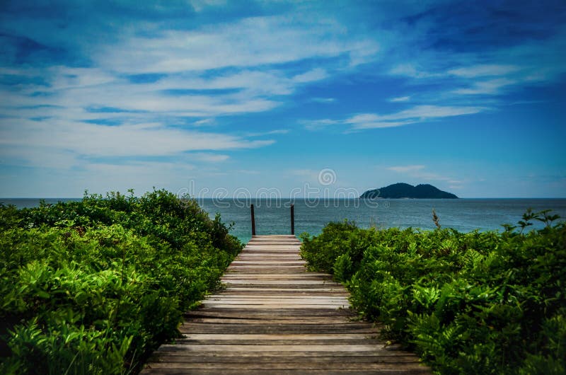 The path to the sea stock photo. Image of landscape, green - 67002210