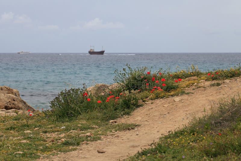 Cyprus. Pathos or Paphos stock photo. Image of medieval - 166901030