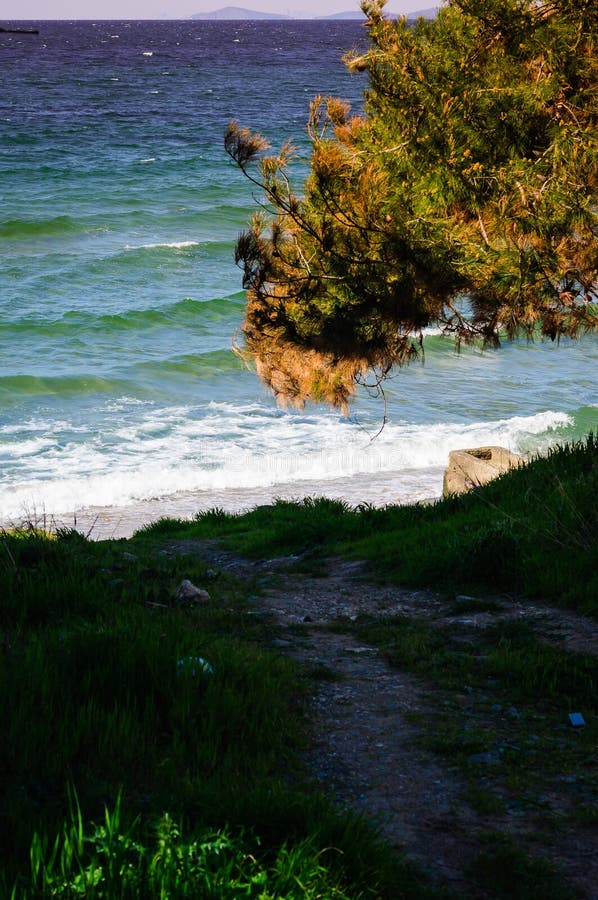 Path To the Sea stock image. Image of rural, road, trees - 52576557