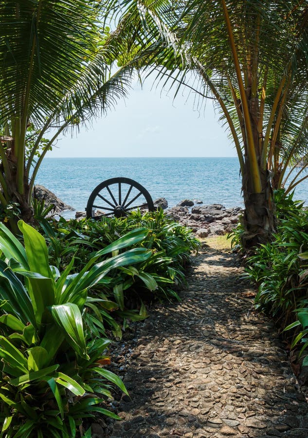 Path To the Sea in a Tropical Stock Image - Image of skyline, tropics ...