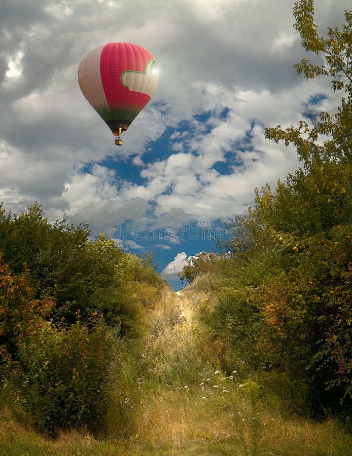 Path To the Sky-a Balloon Flying Over the Forest and a Path in a ...