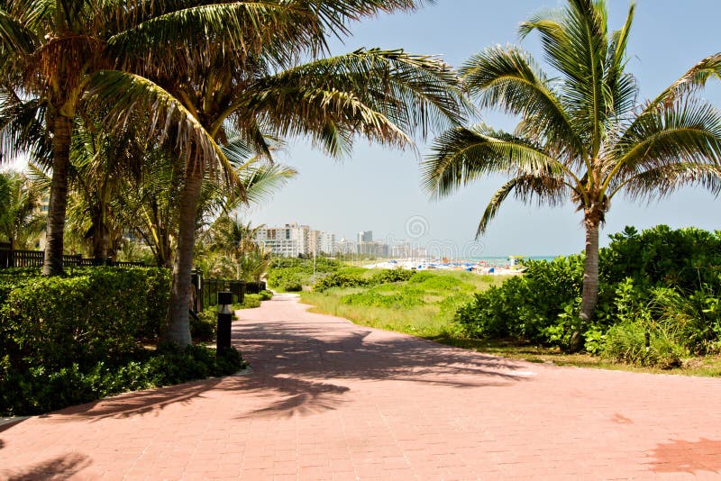 Path to South Beach stock image. Image of green, architecture - 8141641