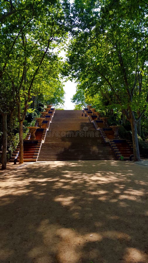 Path To Stairs between the Trees Stock Photo - Image of beauty, path ...