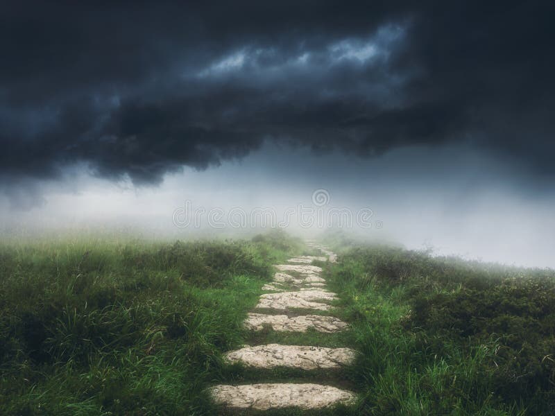 Path in Dark and Scary Forest Stock Image - Image of haunted, eerie ...