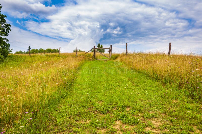 Path to the summer vortex stock photo. Image of outdoor - 226713820