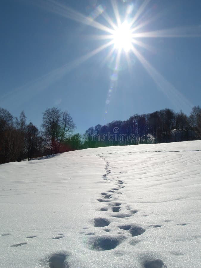 Path to sun stock photo. Image of blue, seasonal, glacier - 23704054