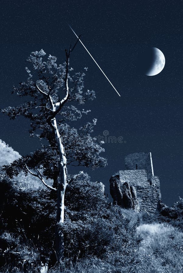 Path to the tower stock image. Image of nature, isolated - 16371095