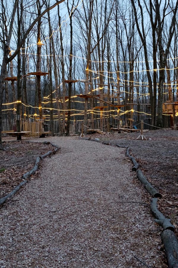 Path To Treetops Ropes and Obstacle Course at Night Stock Image - Image ...