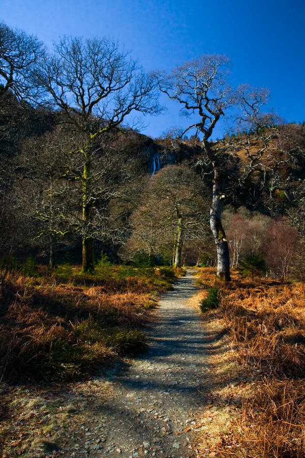 Path to the waterfall stock photo. Image of peace, colorful - 15473384