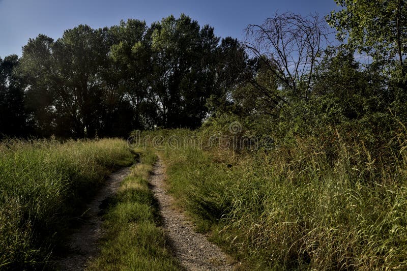 Path on the Top of an Embankment with Fields Below it at Sunset Stock ...