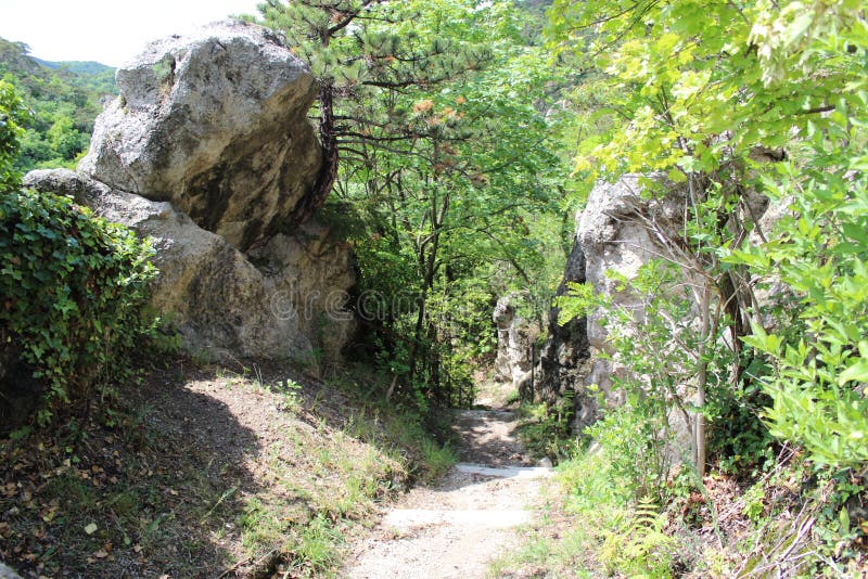 A Path at the Top of the Mountain between Rocks and Trees Stock Photo ...