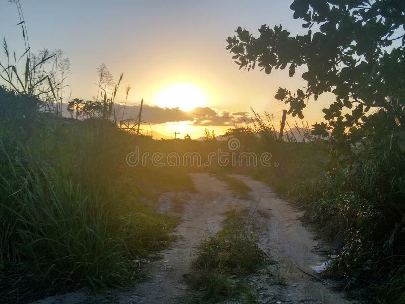 A path towards the sun stock image. Image of path, plant - 218633161