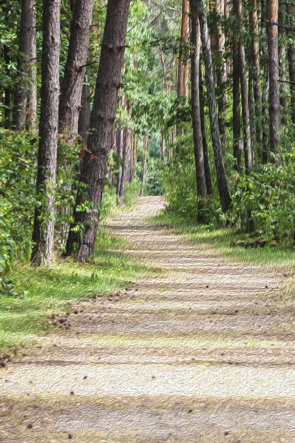 Path Trail through the Pine Tree Young Forrest Stock Photo - Image of ...