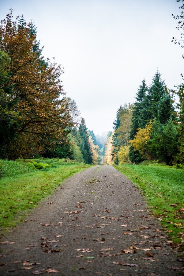 The Path less Traveled stock photo. Image of trees, path - 36515538