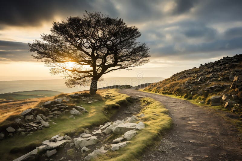 Path and Tree, AI Generated Stock Illustration - Illustration of cloud ...