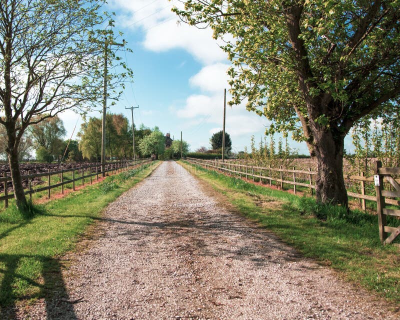 Sky, Grassland, Road, Path Picture. Image: 118430675