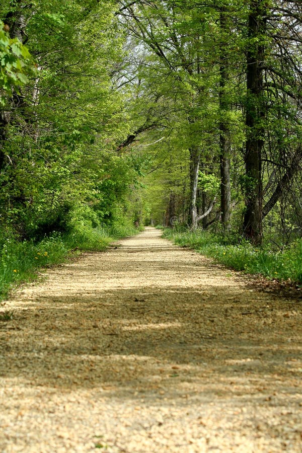 Path through the trees stock photo. Image of forest, path - 15177618