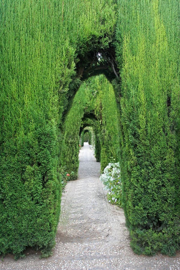 Garden path stock image. Image of tranquil, tree, garden - 14189263