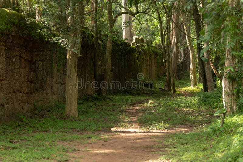 Path through Trees Along Stone Temple Wall Stock Photo - Image of ...